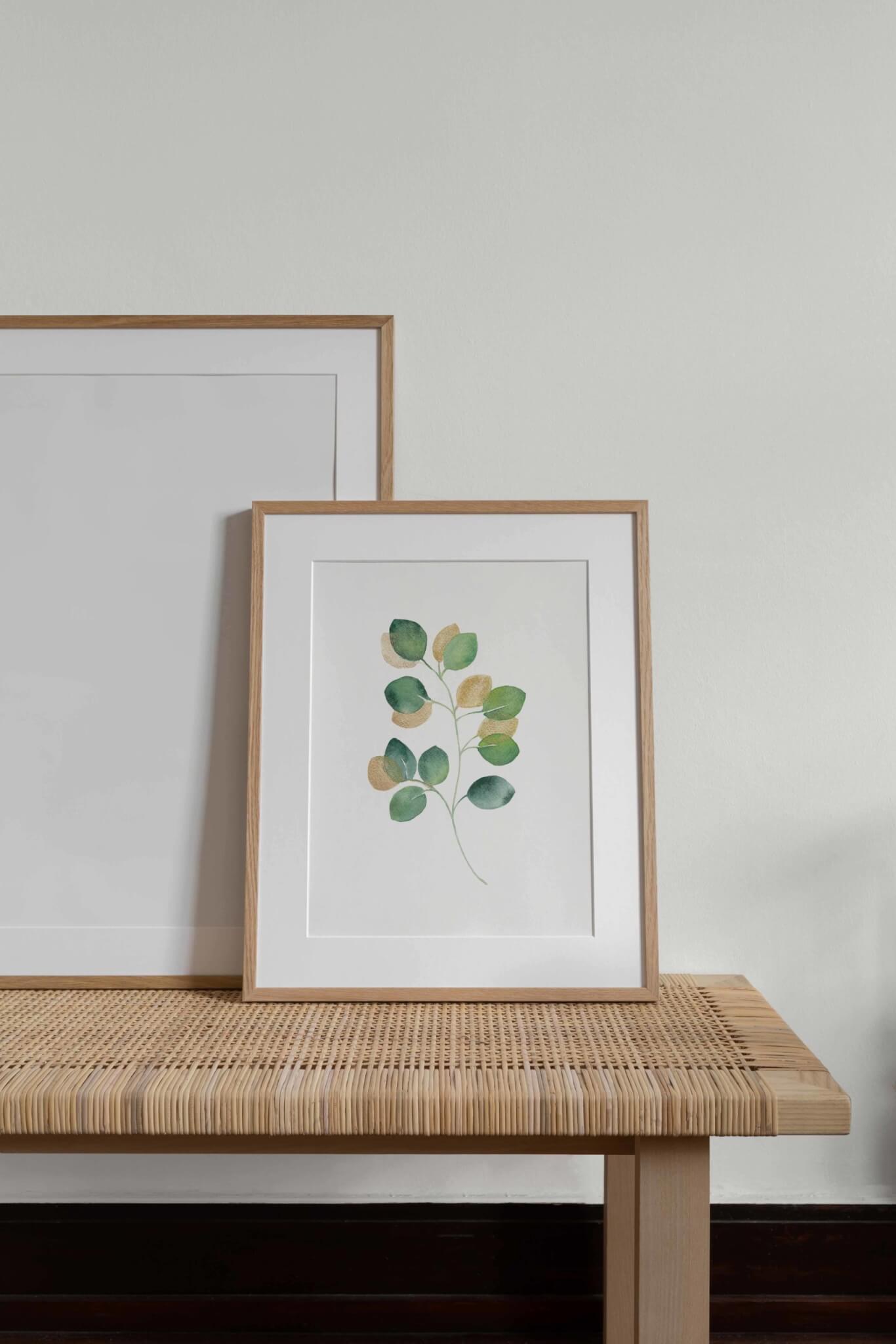 Affiche Eucalyptus doré - Bonjour Couleurs